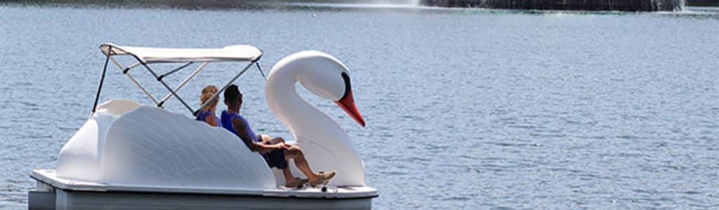 Birthday Parties & Private Events in Milwaukee, WI - Wheel Fun Rentals