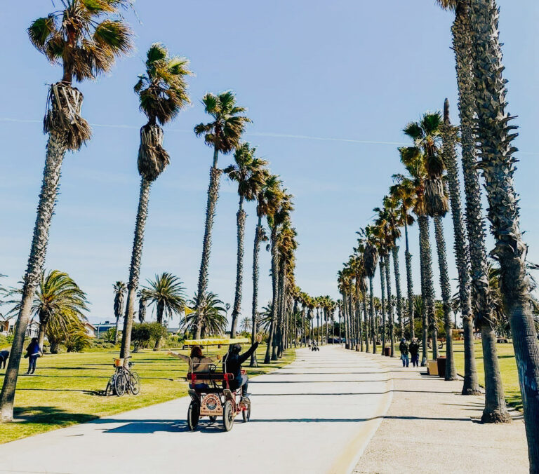 Bike Rentals, Beach Rentals, Bike Tours in Oxnard, California | Wheel ...