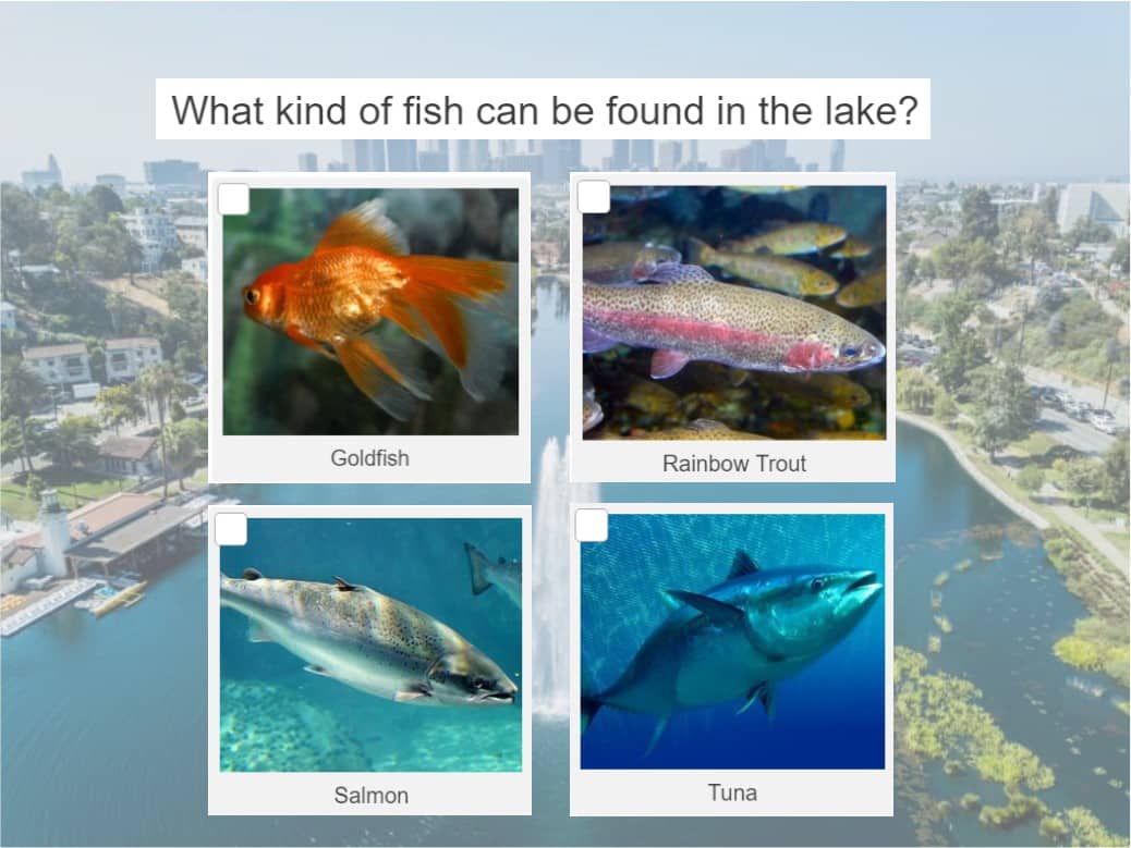 Find & Seek Trivia Game Now Available for Swan Boat Rides at Echo Park ...