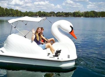 You Can Now Rent Swan Paddle Boats At Humboldt Park | Wheel Fun Rentals