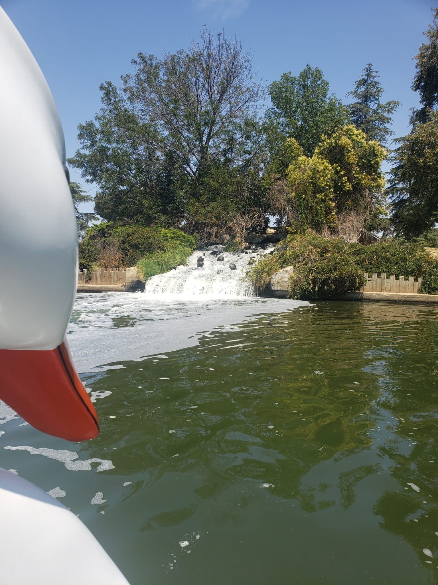 Pedal Boat Rentals in Balboa Park, Los Angeles, CA - Wheel Fun Rentals