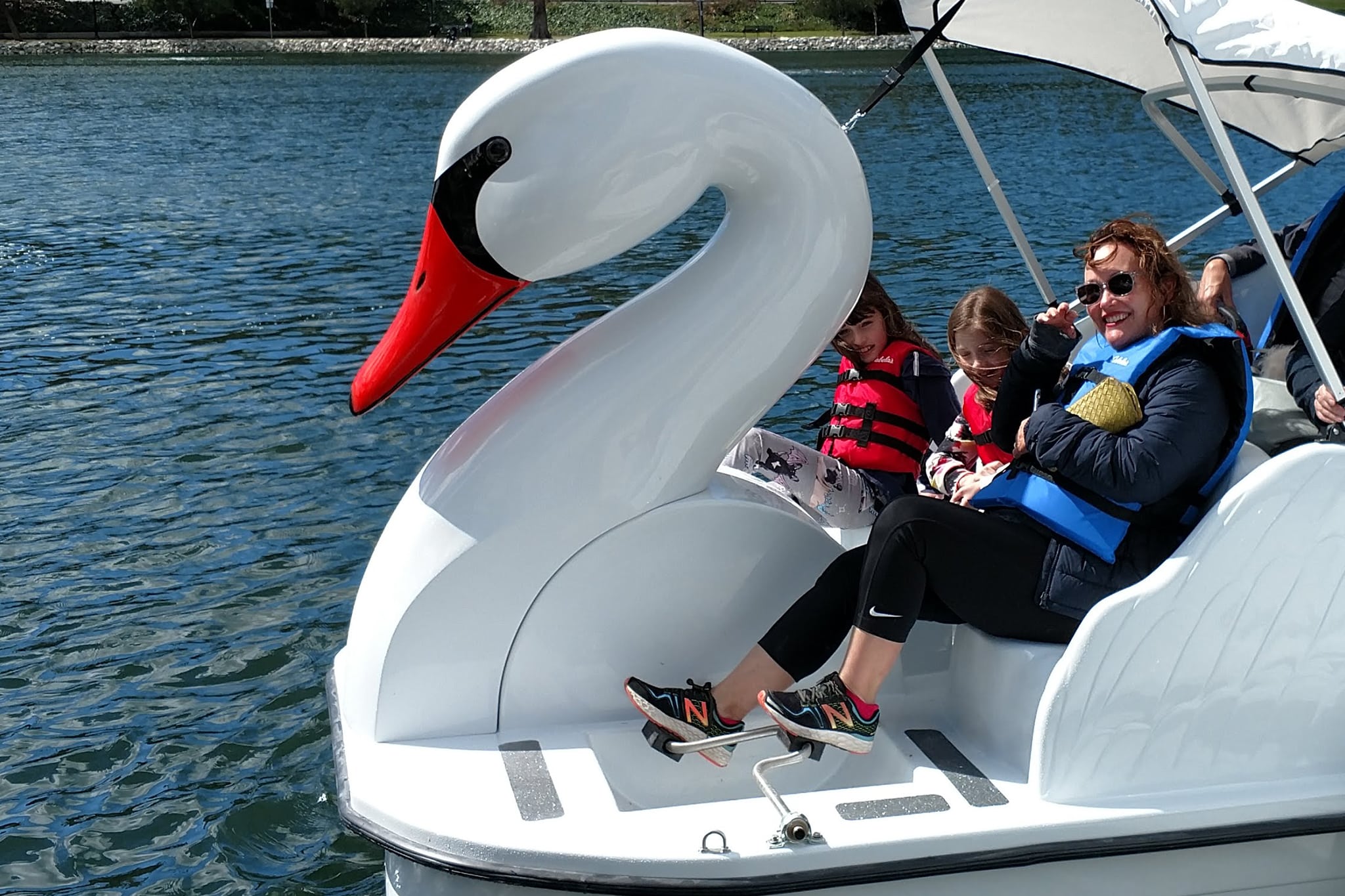 Wheel Fun Rentals Introduces Swan Boat Rentals at Veterans Park in ...
