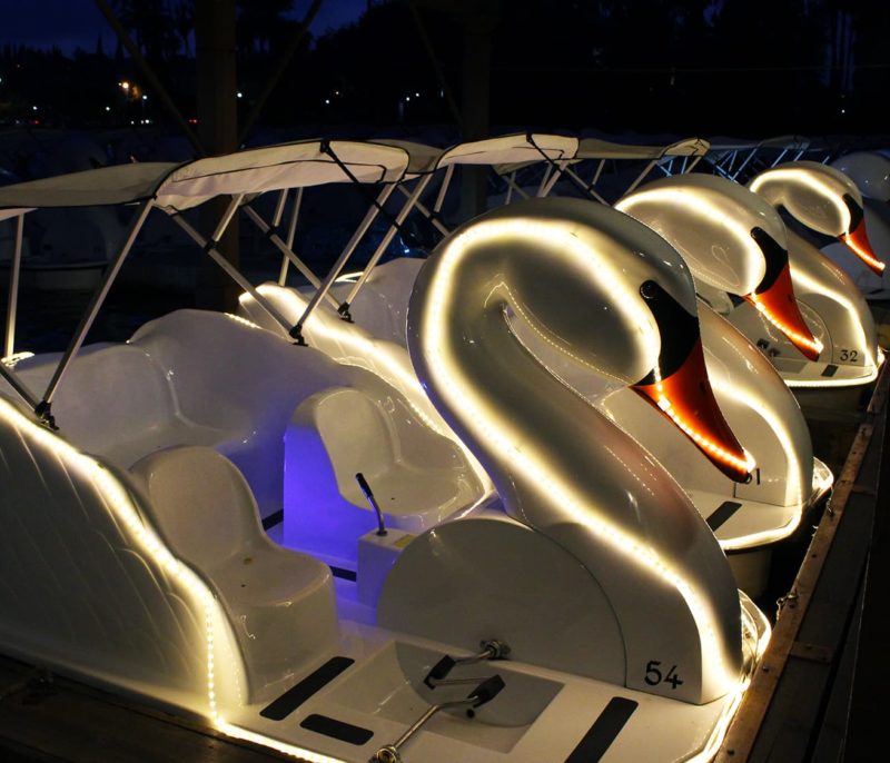 Los Angeles' Favorite Boat Rentals | Wheel Fun Rentals | Echo Park Swan ...