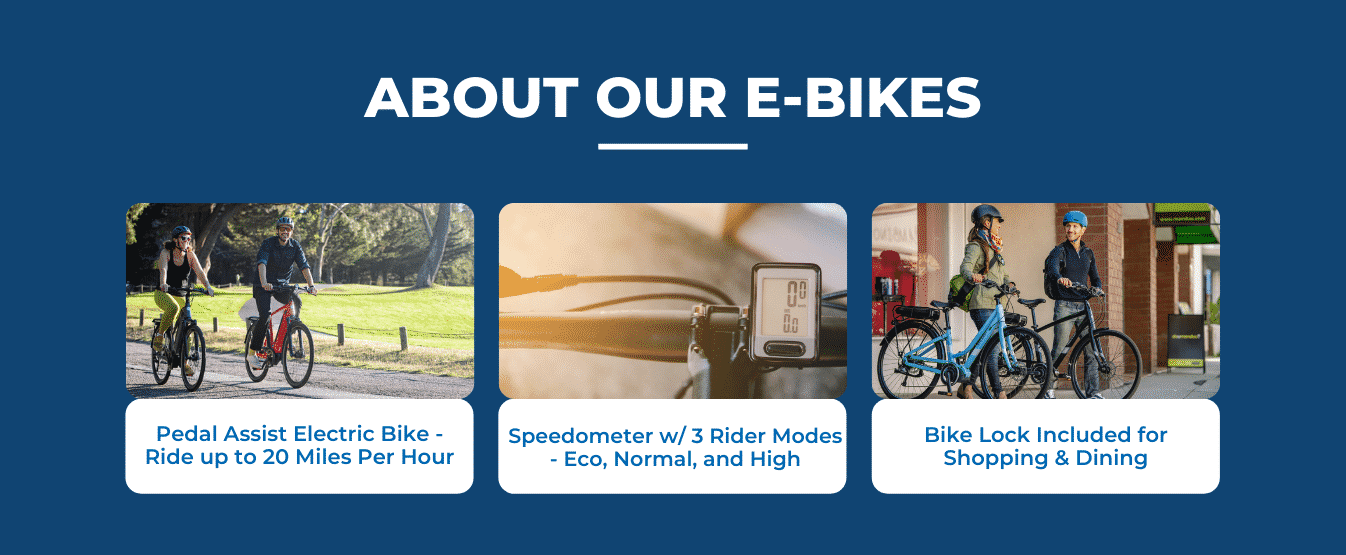 Electric Bike Rentals