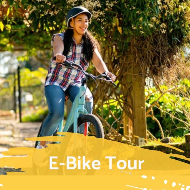 Electric Bike Rentals