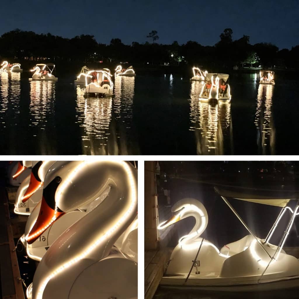Illuminated Swan Boats Light Up Ferril Lake at Denver City Park | Wheel ...
