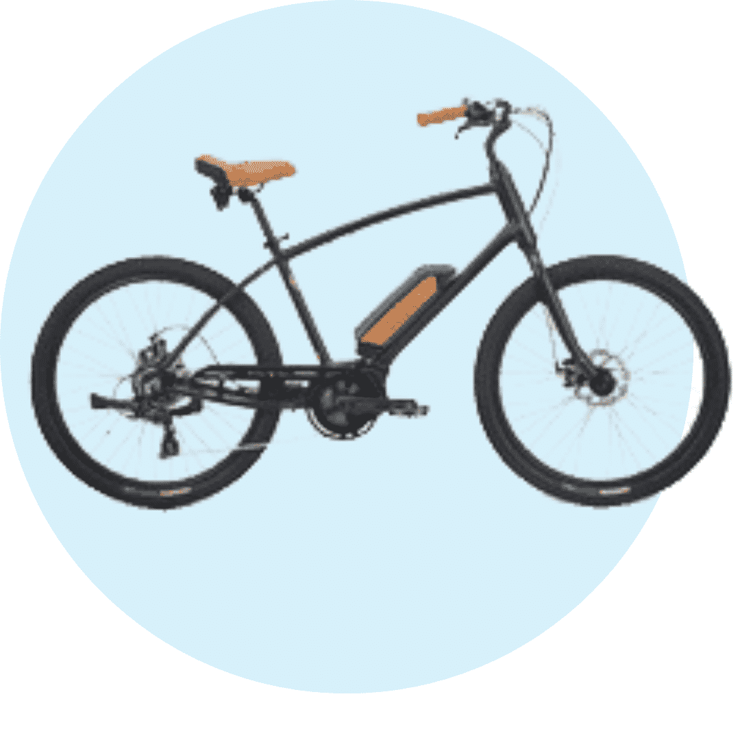 Electric Bike Rentals