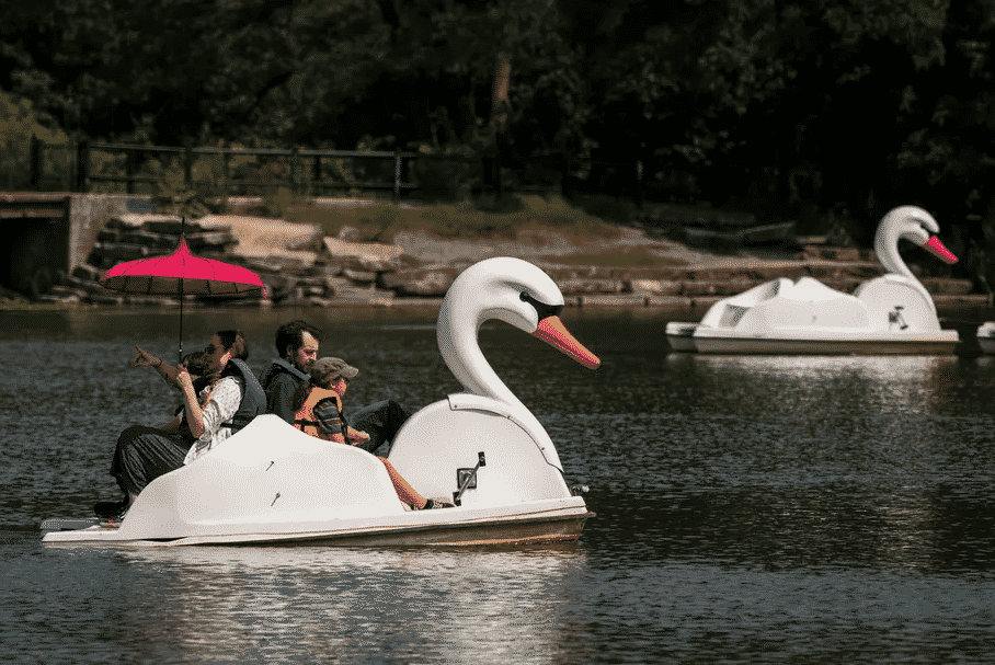 Swan Pedal Boat Hot Sex Picture