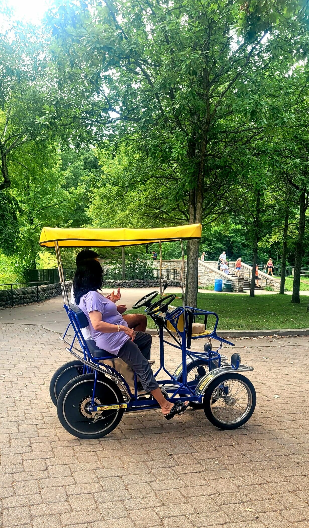 Pleasure trip to Minnesota in the Pandemic | Wheel Fun Rentals