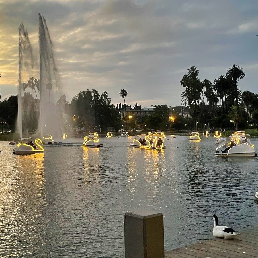 Swan Boats Glide at Echo Park | Wheel Fun Rentals