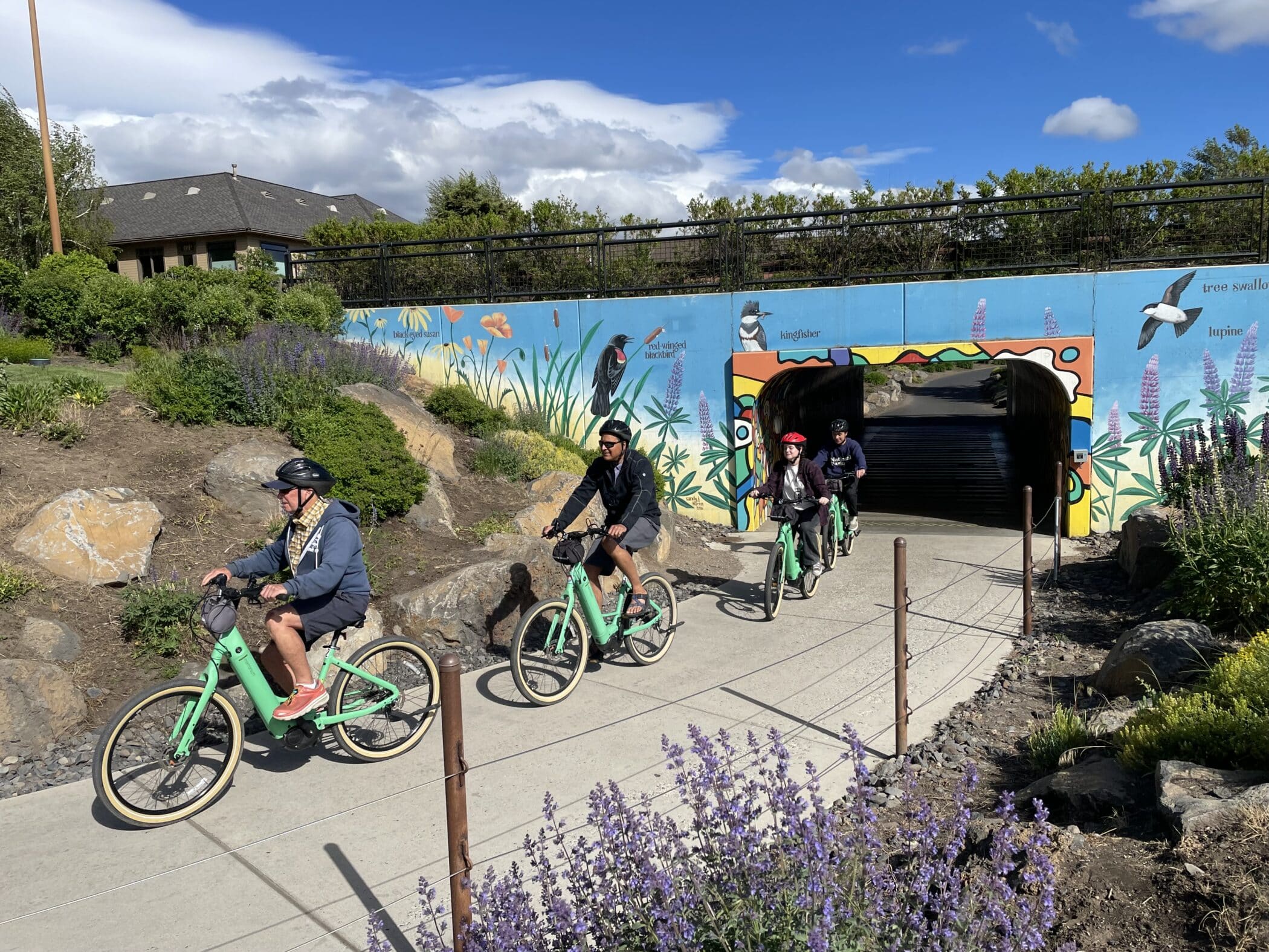 Explore More with Electric Bike Rentals & Guided E-Bike Tours in Bend ...